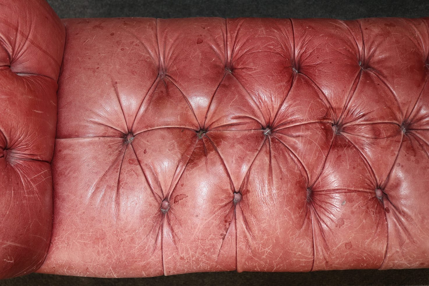 Leather Rolled Arm Tufted Chesterfield Style Mahogany Chippendale ...